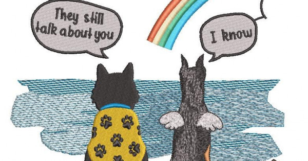 Cat And Dog in Heaven