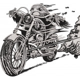 Riding Bird Embroidery designs