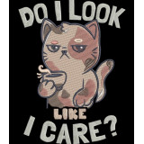 Do I Look Like I Care Cat Quote Embroidery Design