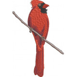 Red Cardinal Embroidery Design