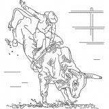 Rodeo Embroidery Design