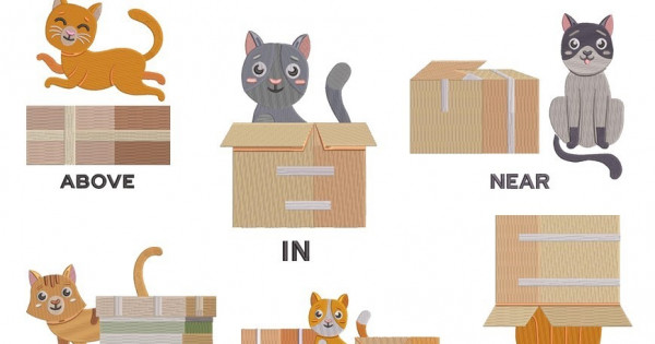 Pack of Preposition with Cat