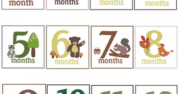 Baby 12 Month Watch Me Grow Collection Machine Embroidery Design