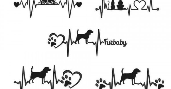 Dog Heart Beat
